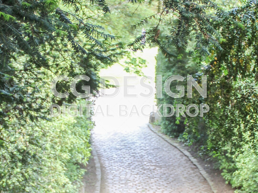 Trees and Pathway, Digital Backdrop Photographer Composites, Digital ...