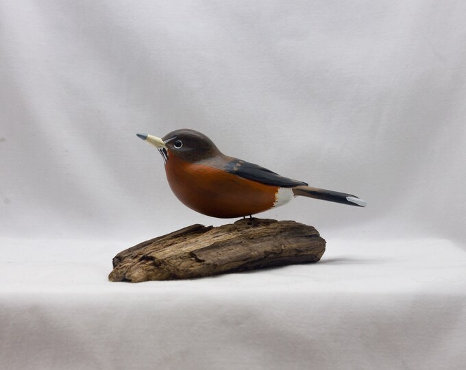 Robin Sitting. Handcrafted Carved Wooden Bird Painted - Etsy