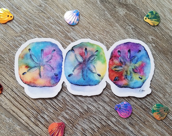 Sand Dollar Decal Weatherproof Waterproof Vinyl Sticker - Etsy