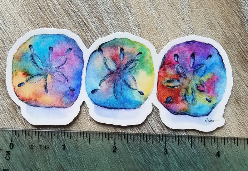 Sand Dollar Decal Weatherproof Waterproof Vinyl Sticker - Etsy