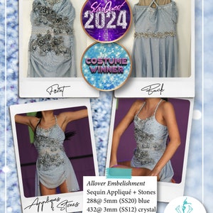 AWARD WINNING Custom Rhinestone Dance Costumes - Etsy