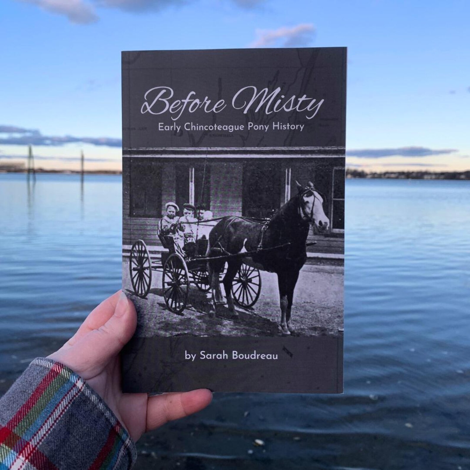 Before Misty: Early Chincoteague Pony History - Etsy