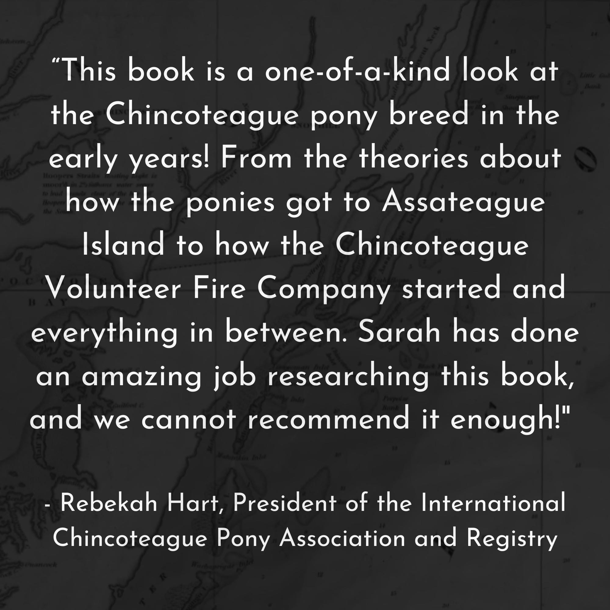 Before Misty: Early Chincoteague Pony History - Etsy