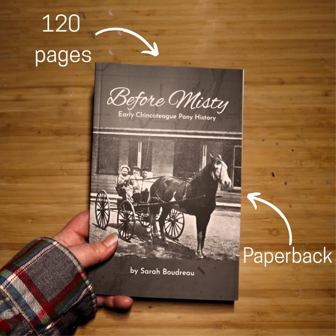 Before Misty: Early Chincoteague Pony History - Etsy