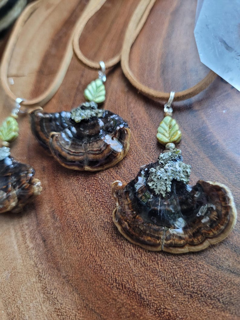Real Mushroom Necklace, Turkey Tail Mushroom Jewelry, Real Mushroom ...