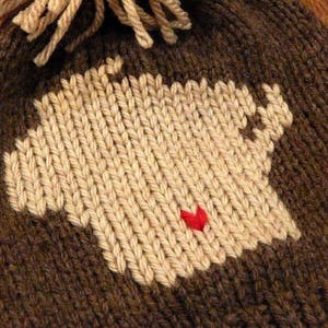 Wisconsin Hometown Knit Hat Pattern : Knitting Pattern, Baby Hat ...