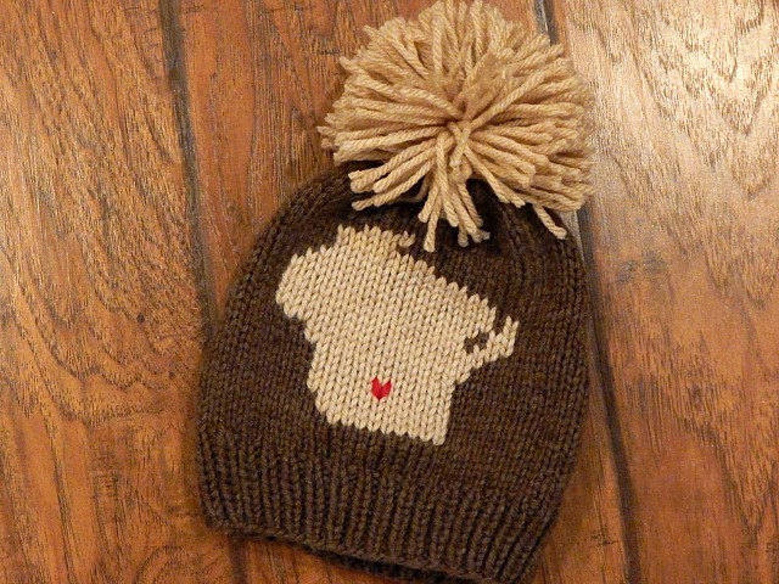 Wisconsin Hometown Knit Hat Pattern : Knitting Pattern, Baby Hat ...