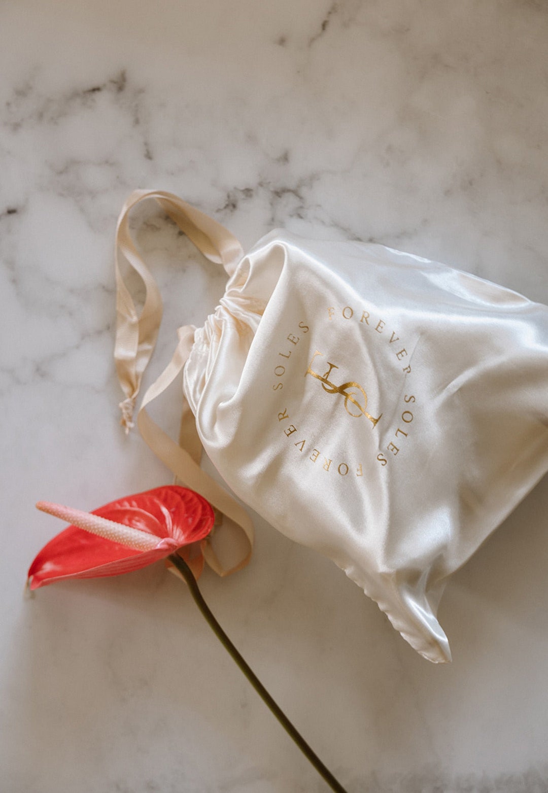 Shoe Dust Bag, Shoe Protection Bag, Forever Soles Satin Shoe Bag ...