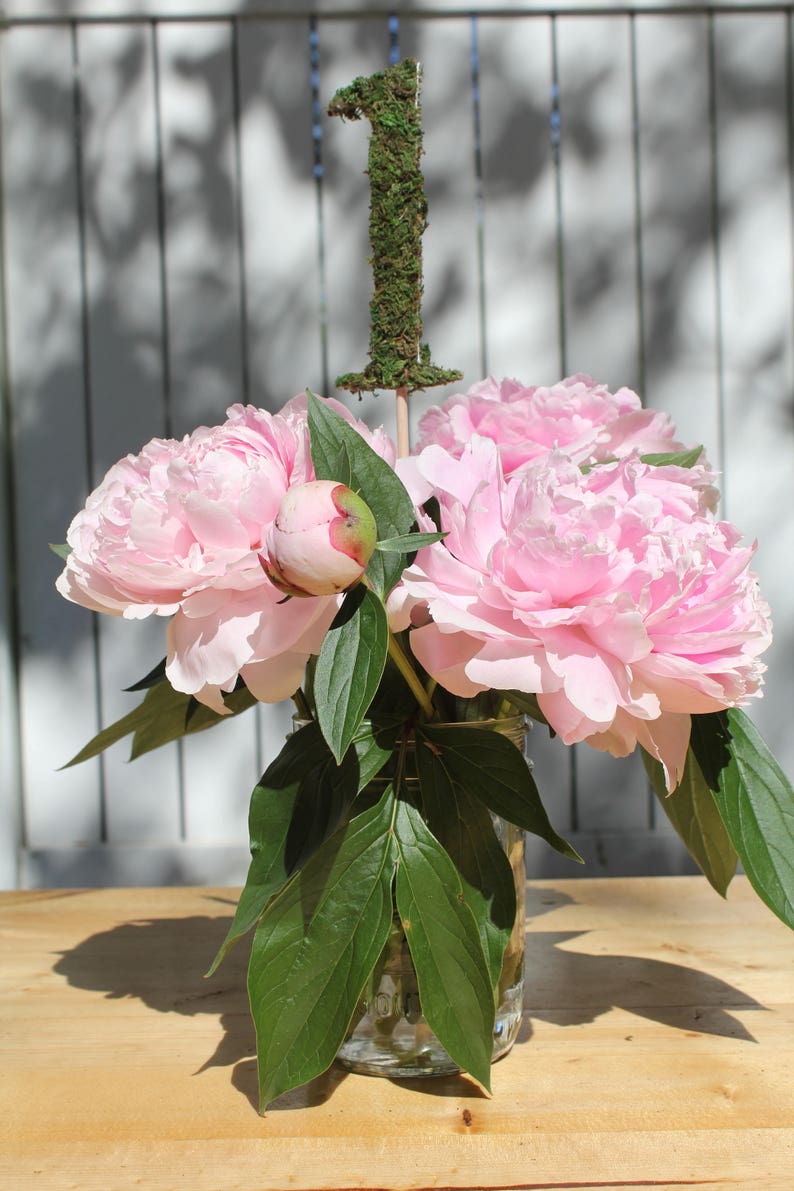 Moss Wedding Table Numbers Moss Wedding Decor Wedding - Etsy