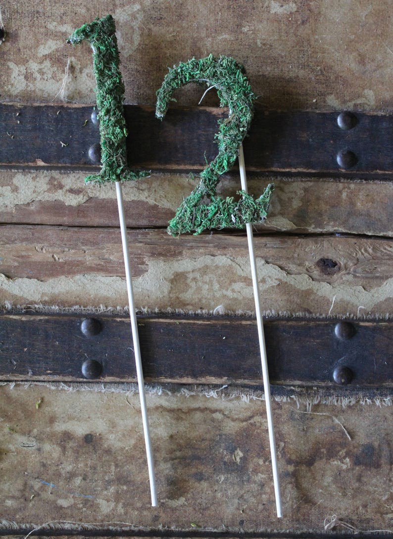 Moss Wedding Table Numbers Moss Wedding Decor Wedding - Etsy