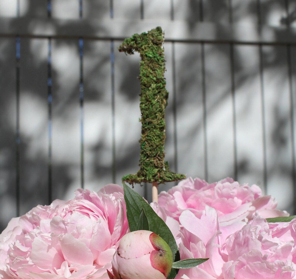 Moss Wedding Table Numbers Moss Wedding Decor Wedding - Etsy