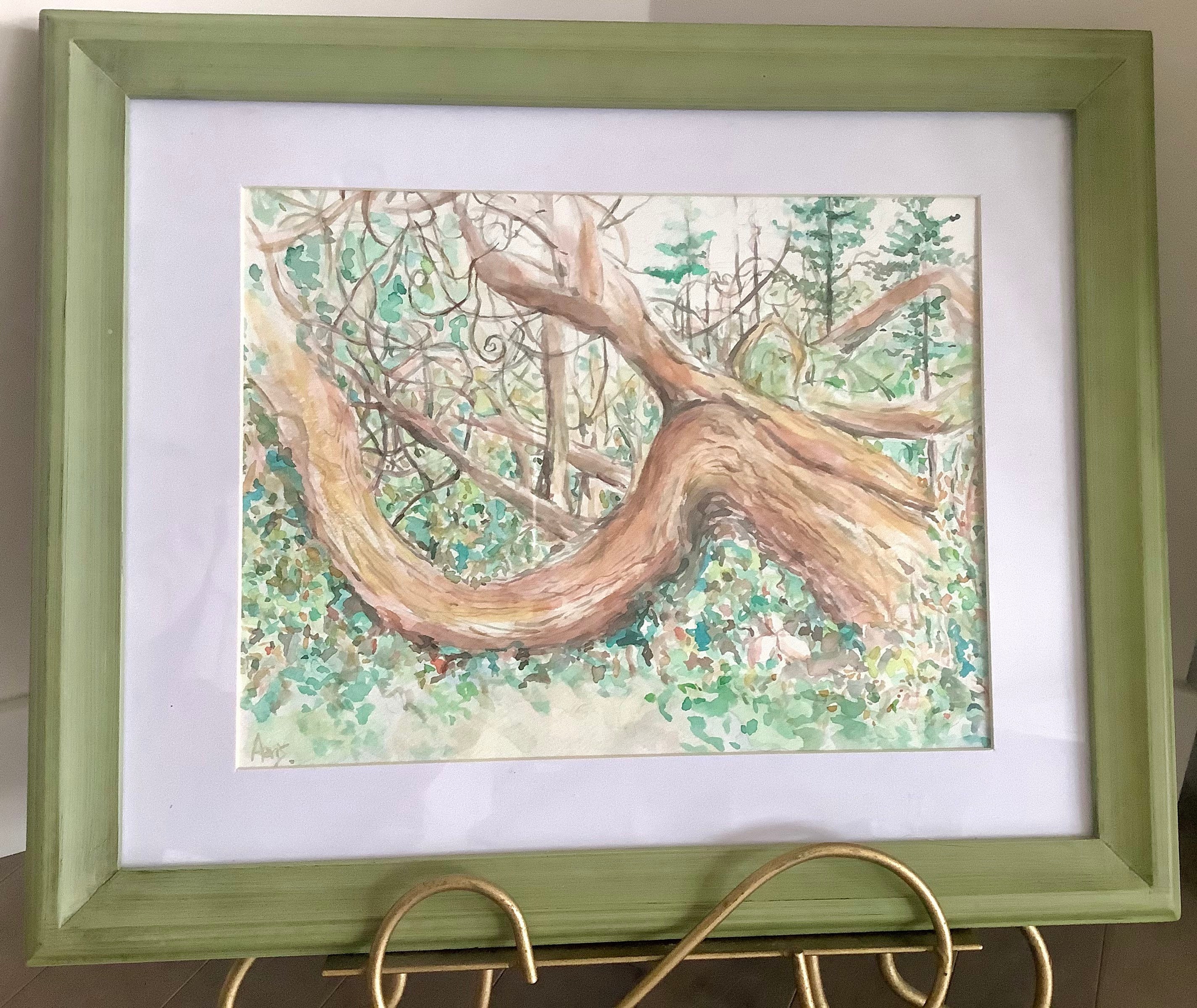 Ucluelet Cedar Tree Art, Vancouver Island Landscape Watercolour ...