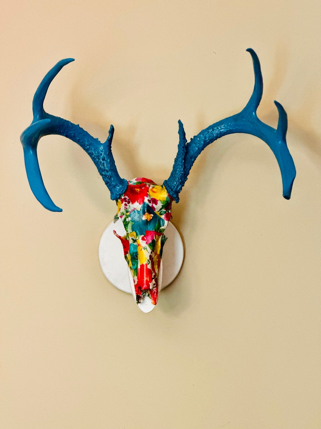 Genuine Deer Head Antler-wall Art-taxidermy Decor-jewetly Holder - Etsy