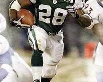 Ed Simonini Baltimore Colts Rare Lithograph | Etsy