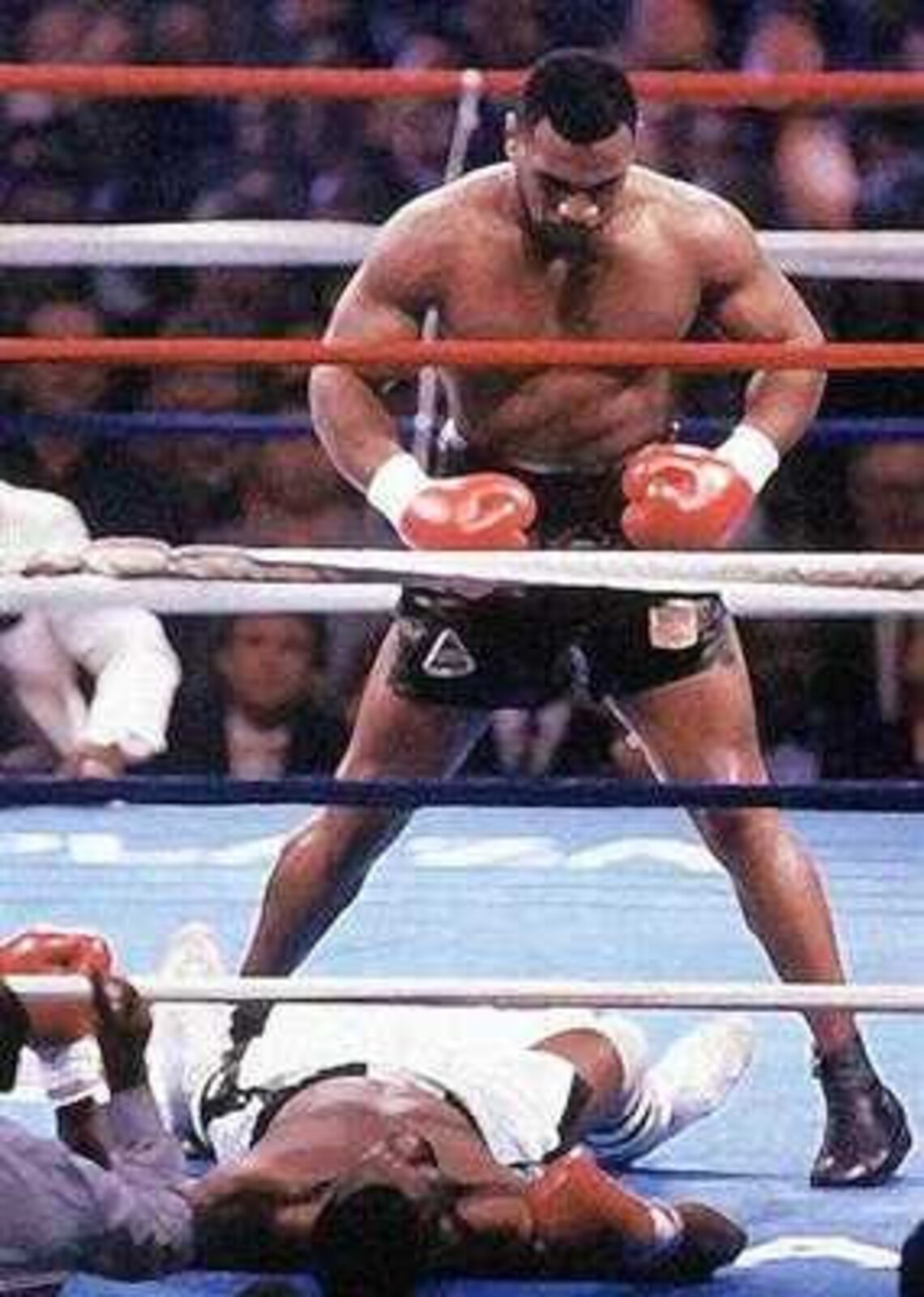 Great Mike Tyson Limited Edition Art Lithograph - Etsy