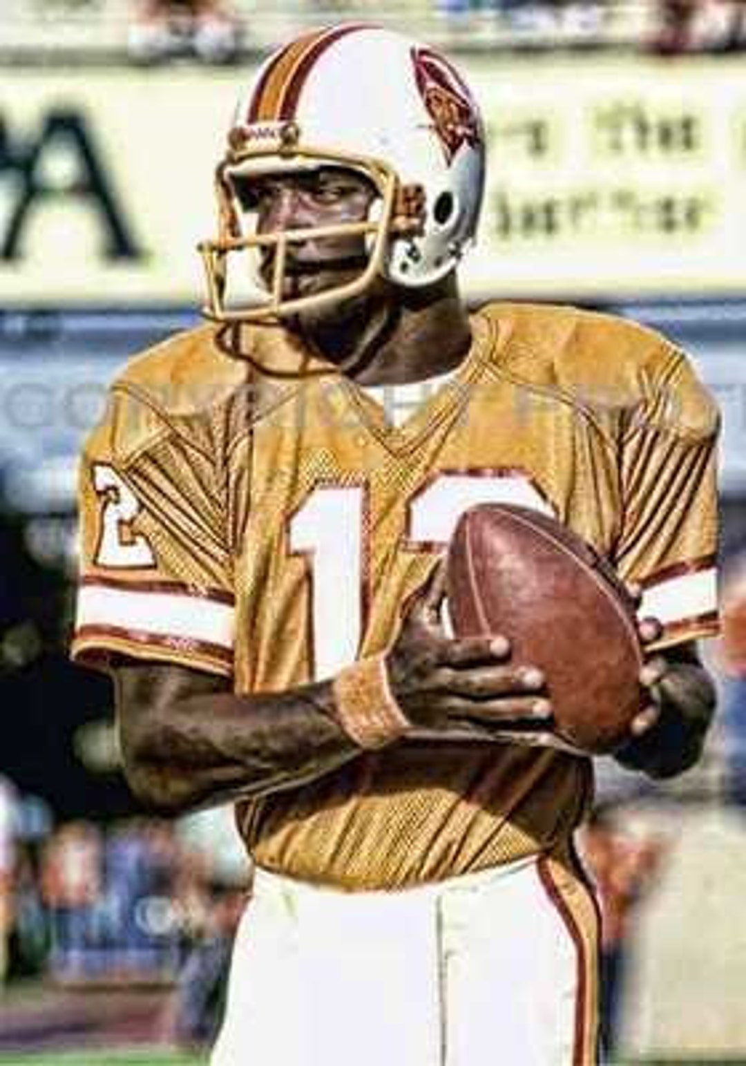 Rare Doug Williams Bucs Art Illus Print 12x18 LE of 50 - Etsy
