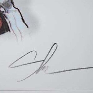 New Terrell Suggs, Baltimore Ravens, NFL, Original and Limited Art ...