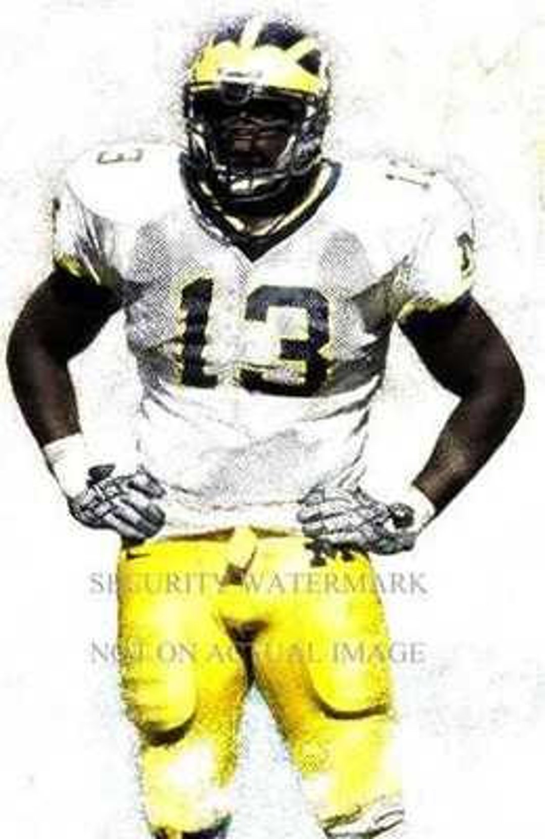 Larry Stevens Univ of Michigan Art Print approfitta solo 50 - Etsy Italia