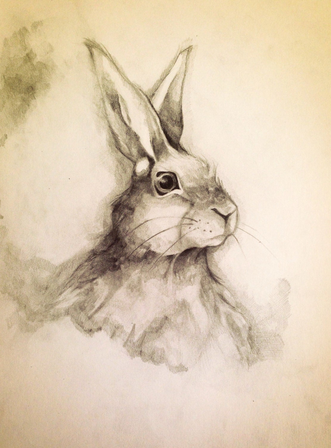 Hare Print - Etsy