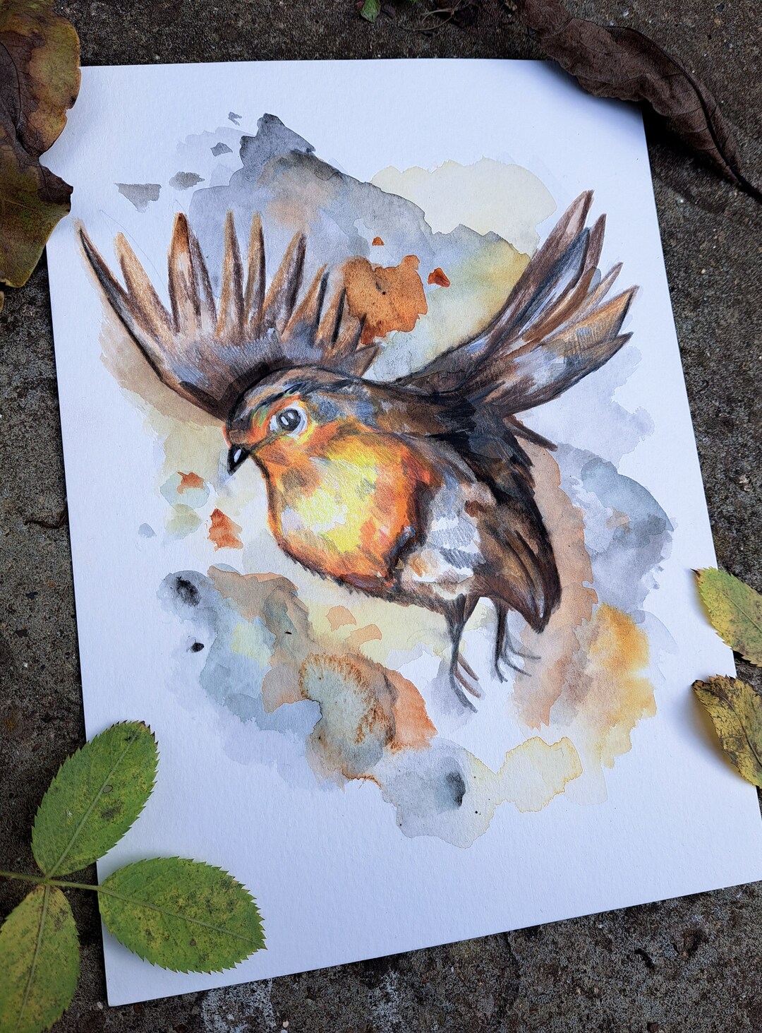 Robin Watercolour Flying - Etsy