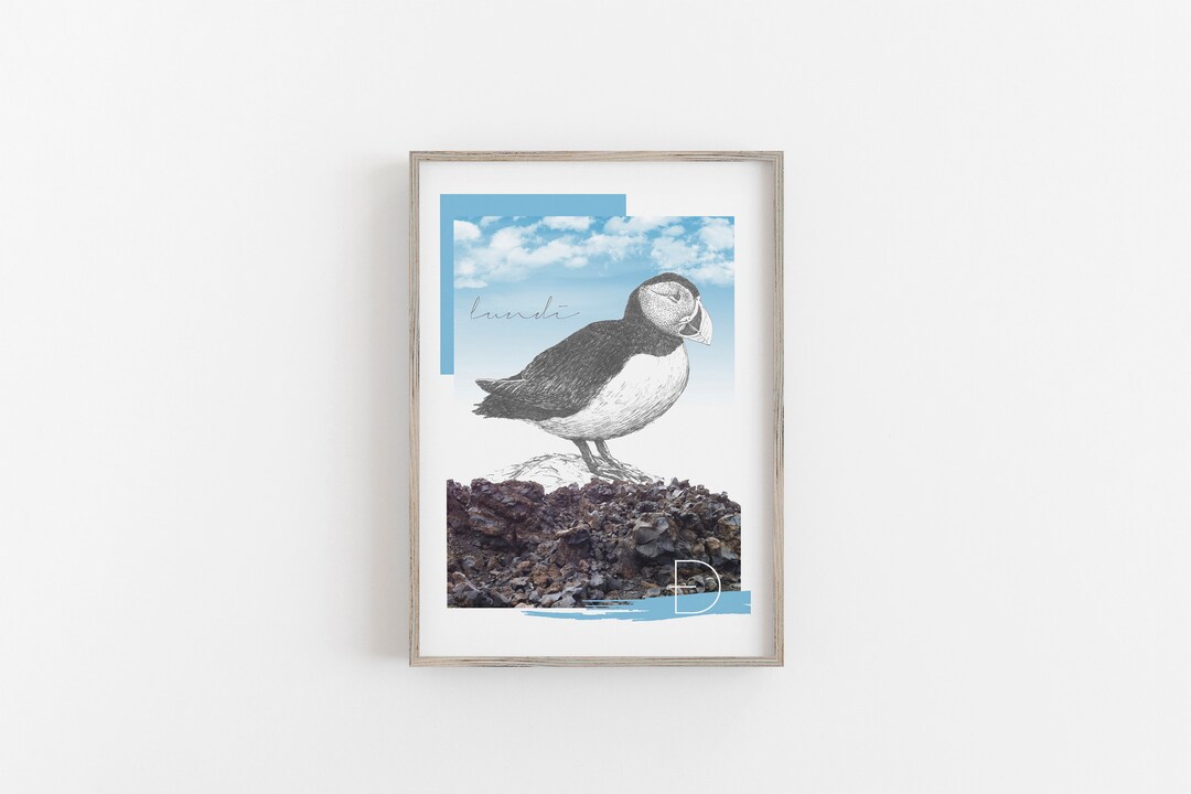 Iceland Puffin // Lundi A4 Print Made in Iceland - Etsy