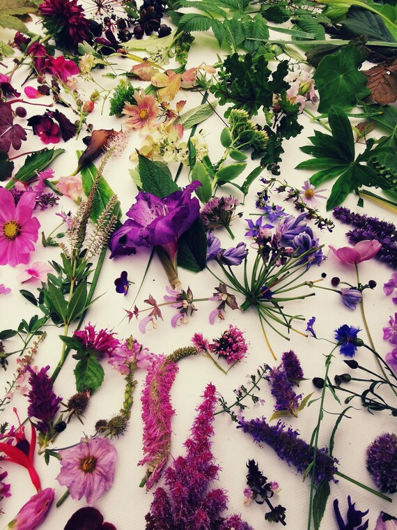 Floral Printable Downloadable Print Floral Art Flower Art - Etsy