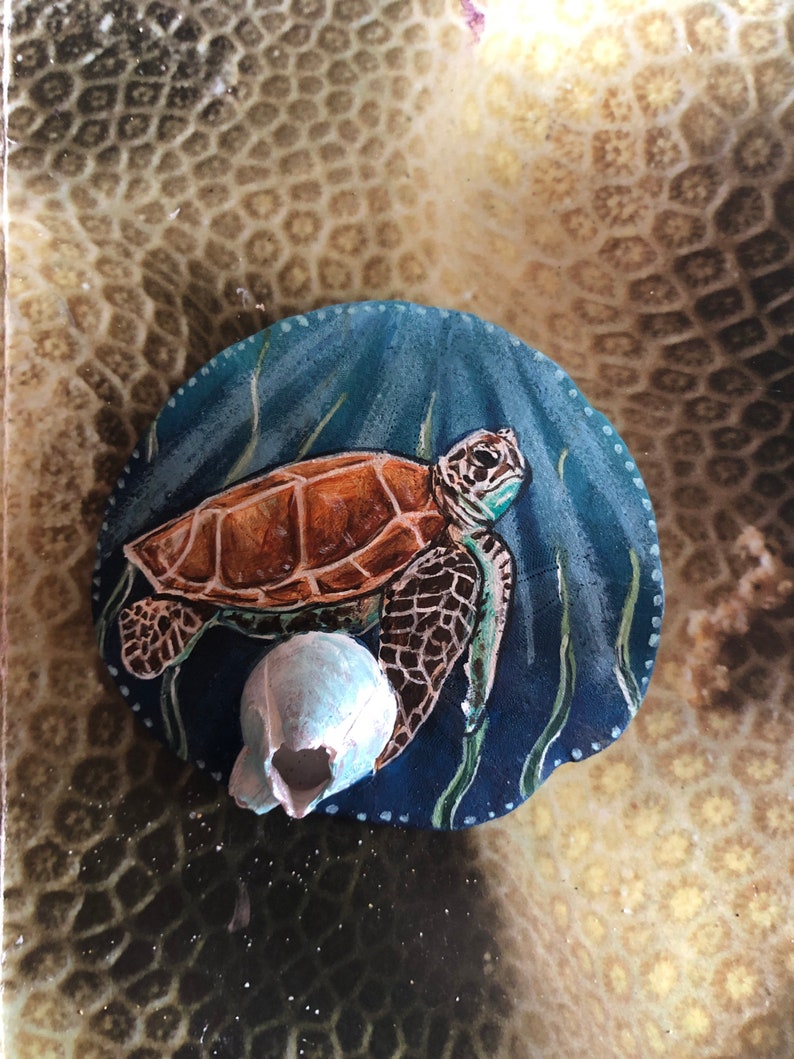 Sea Turtle Sand Dollar Ornament - Etsy