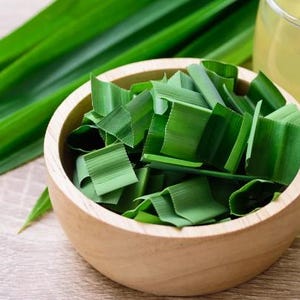 Pandan Leaf Malaysia&indonesia Good for Making Soup or Cake - Etsy