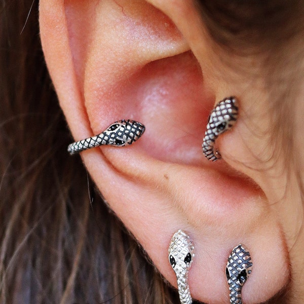 Conch Earring - Etsy