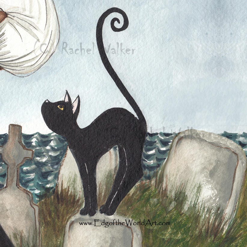 Edgar Allan Poe, the Fool, Tarot Card, Black Cat, Writer, Gothic ...