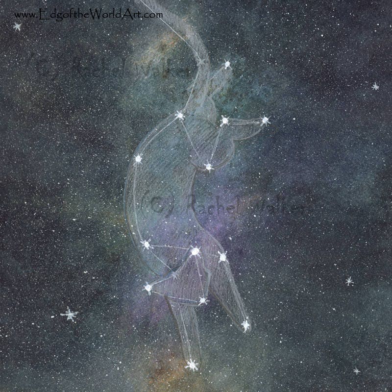 Orion's Cat, Cat Constellation, Galaxy, Spookie the Cat Tells the ...