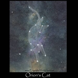 Orion's Cat, Cat Constellation, Galaxy, Spookie the Cat Tells the ...