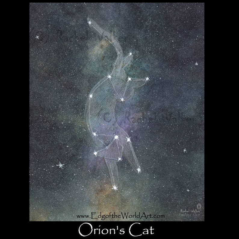Orion's Cat, Cat Constellation, Galaxy, Spookie the Cat Tells the ...