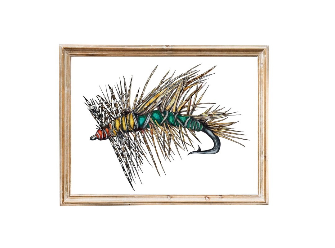 Fly Fishing Lure Print: Rustic Home Decor, 8x10 Collectible, Unique ...
