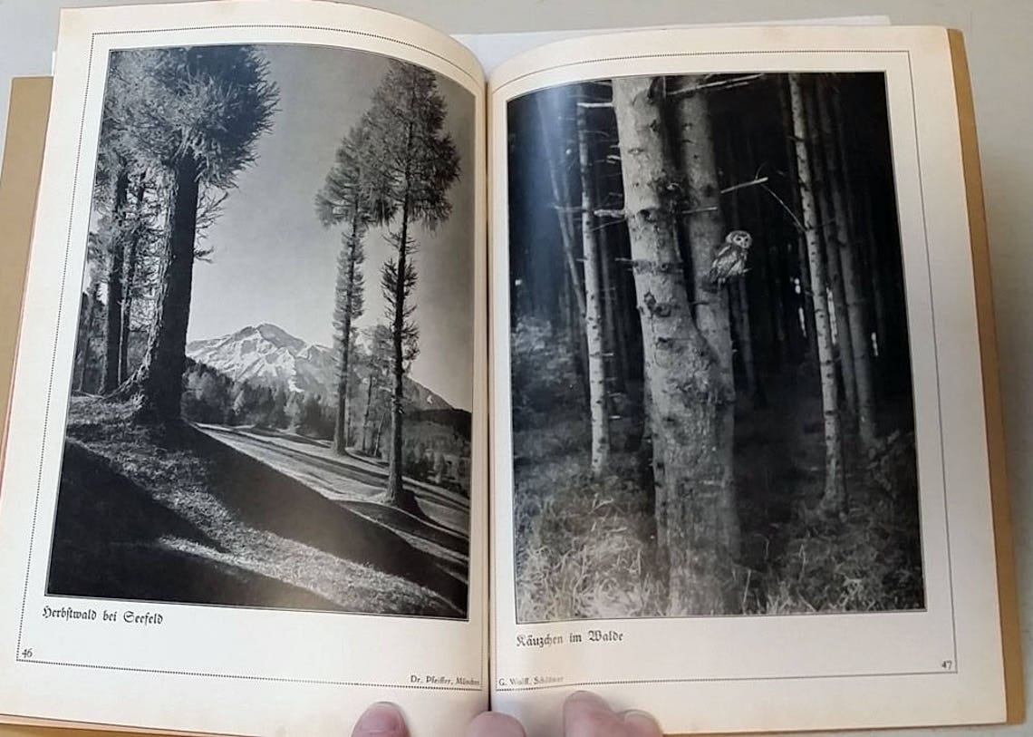 1945 Deutscher Wald German Forest Booklet of Pictures Printed - Etsy