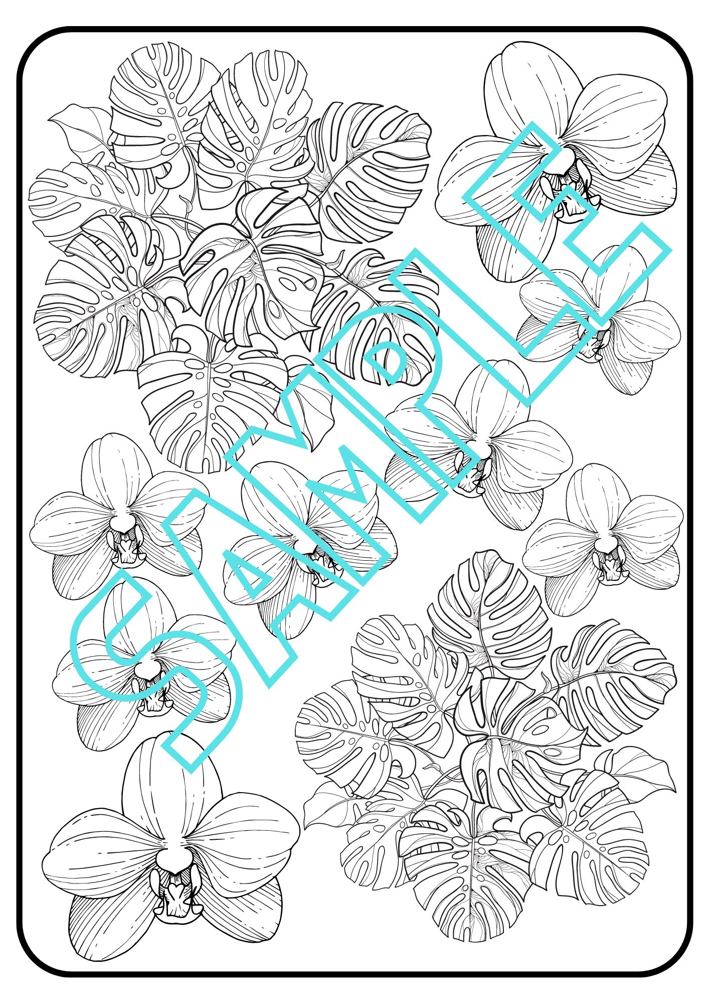 Tropical Monstera Coloring Pages - Etsy
