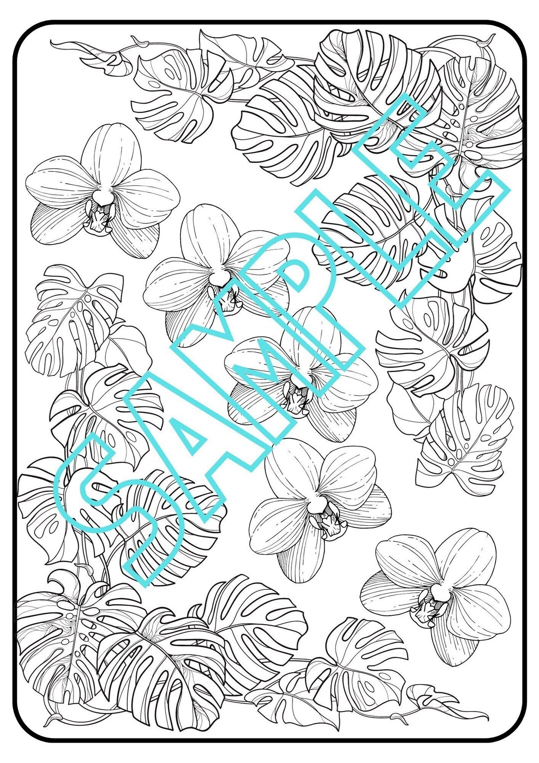 Tropical Monstera Coloring Pages - Etsy