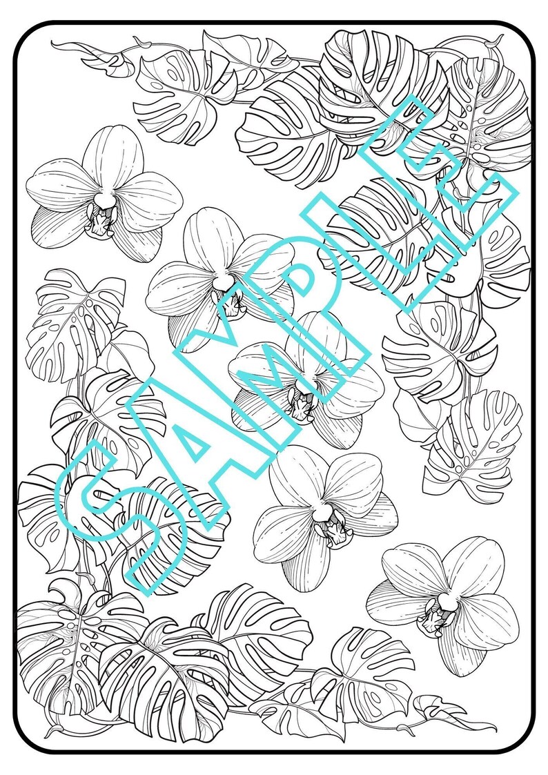 Tropical Monstera Coloring Pages - Etsy