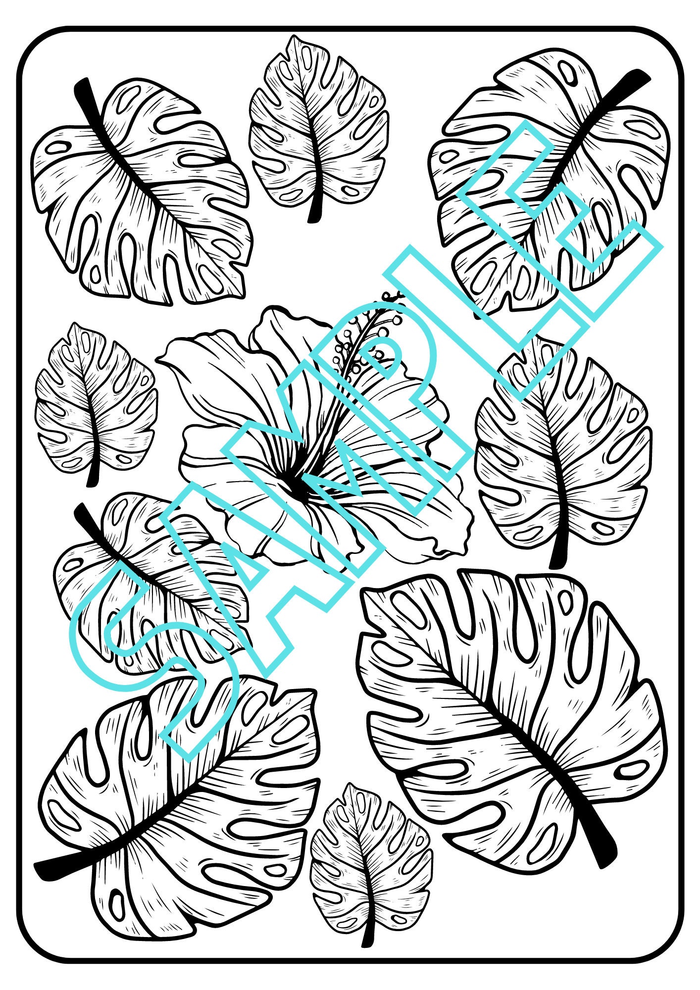Tropical Monstera Coloring Pages - Etsy