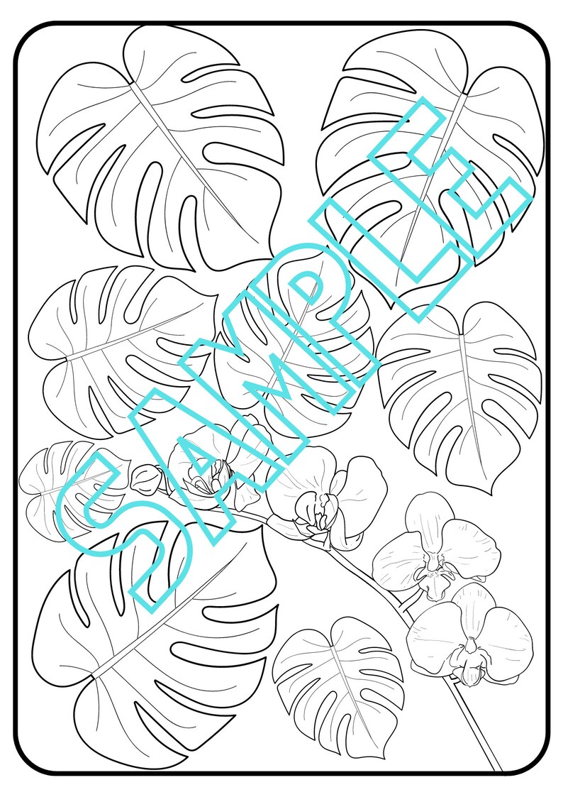 Tropical Monstera Coloring Pages - Etsy