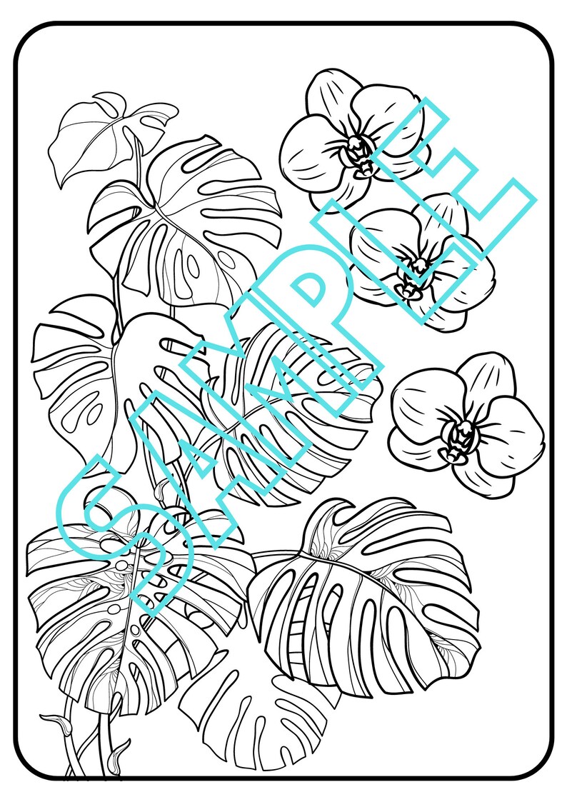 Tropical Monstera Coloring Pages - Etsy
