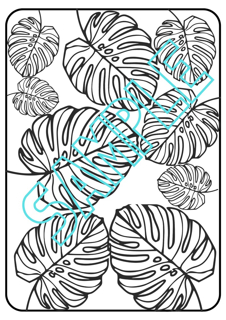 Tropical Monstera Coloring Pages - Etsy