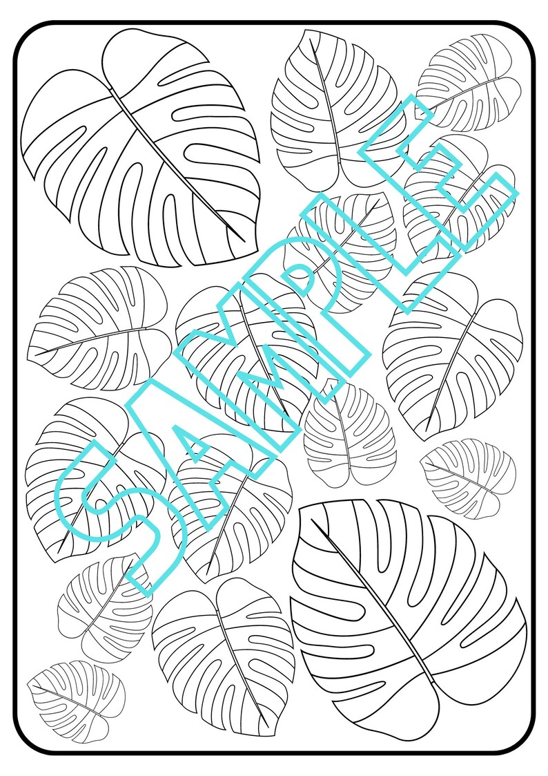 Tropical Monstera Coloring Pages - Etsy