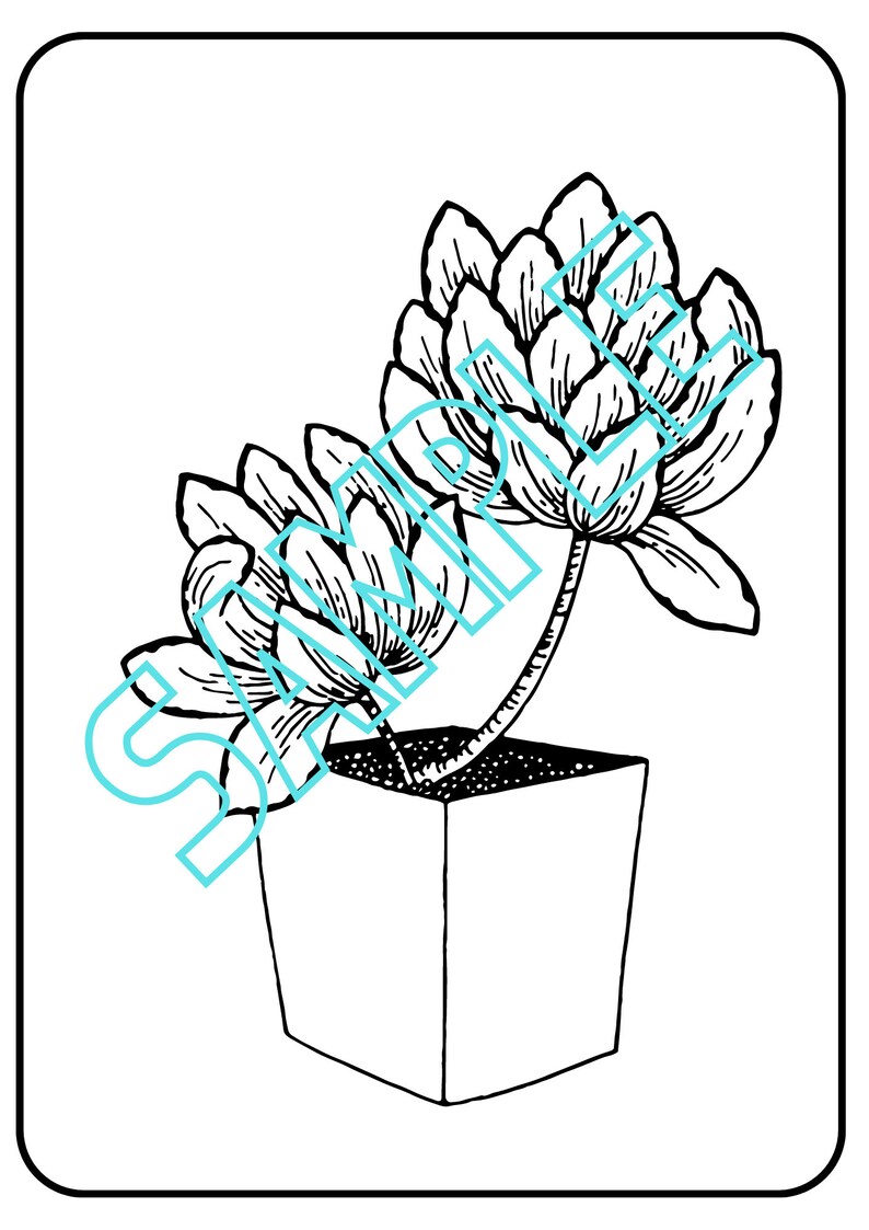 Flower Fantasy Coloring Pages - Etsy