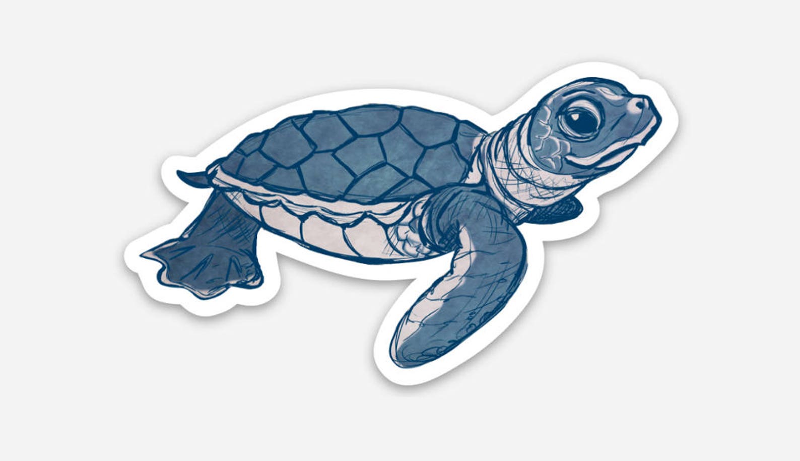 Baby Sea Turtle Vinyl Sticker - Etsy