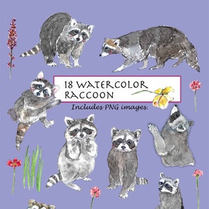 Watercolor Raccoon Clip Art Set: Wild Animals, Flora (digital Download ...