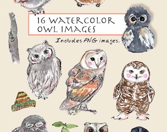 Wise Owl Clip Art - Etsy