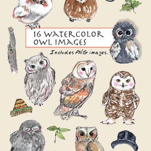 CLIP ART- Watercolor Owl Set. 16 Images. Digital Download. Baby Owl ...