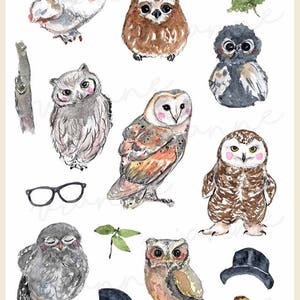 CLIP ART- Watercolor Owl Set. 16 Images. Digital Download. Baby Owl ...