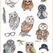 CLIP ART Watercolor Owl Set. 16 Images. Digital Download. Baby Owl ...